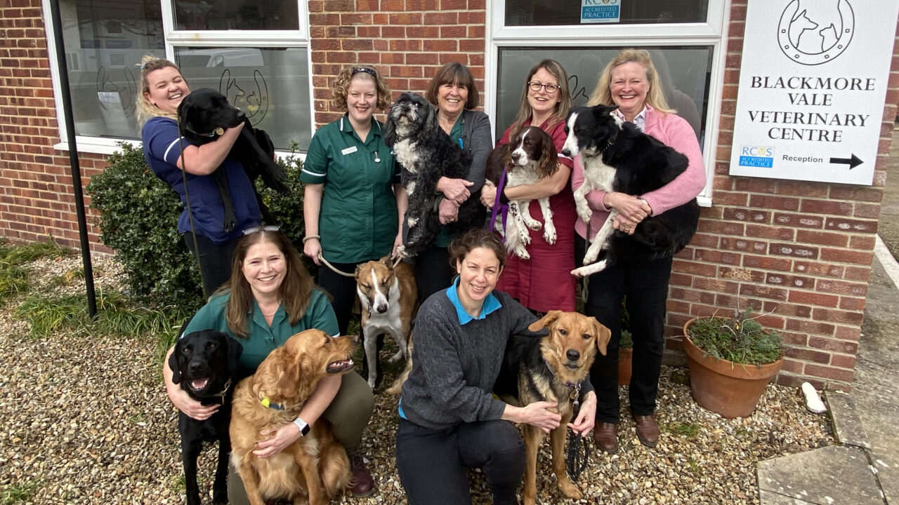 Staff | Blackmore Vale Veterinary Centre